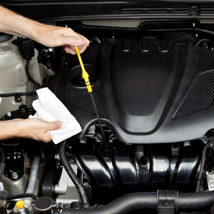 Rando HD Hydraulic Oil | Chevron Lubricants (US)